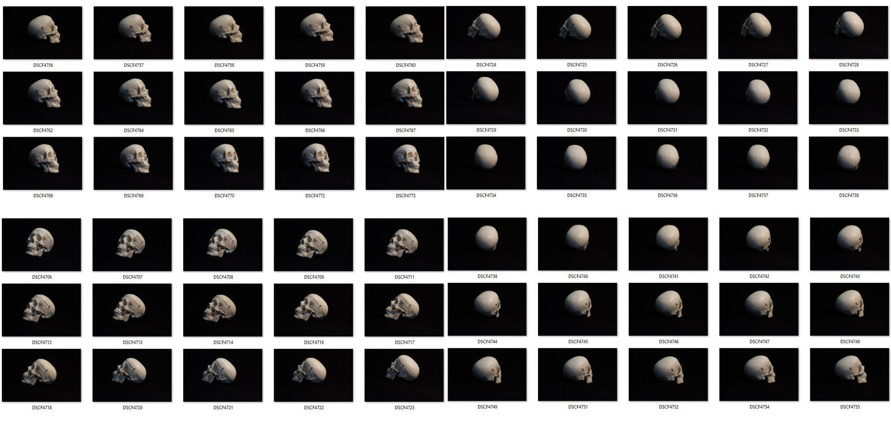 ArtStation - Human skull - Reference pack | Resources