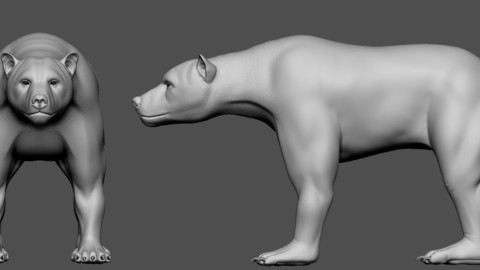 ArtStation - Bear | Resources