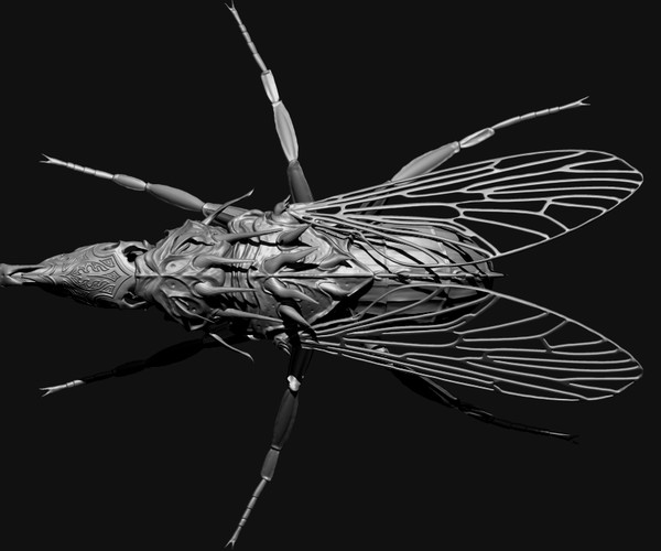 ArtStation - Horse Skull Daemon Fly STL | Game Assets