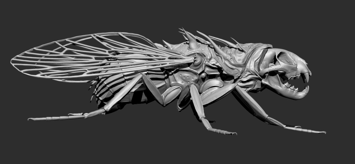 ArtStation - Cat Skull Demon Fly STL | Game Assets