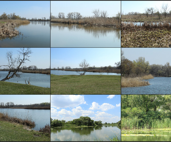 ArtStation - Water landscape Pack 2 | Resources