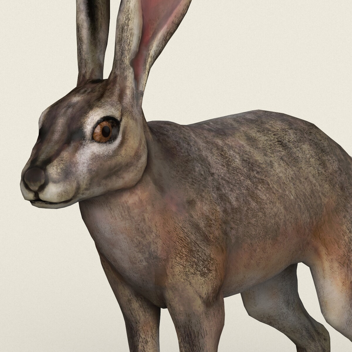 Khushbu Patel - Rabbit Low Poly PBR Ready 3D Model