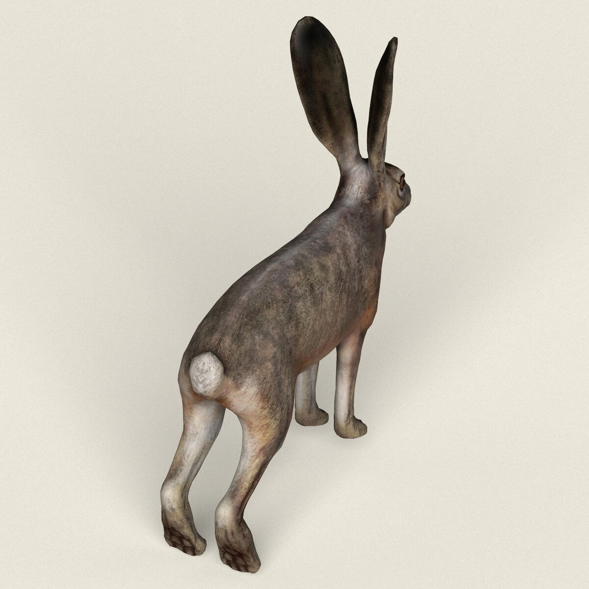 ArtStation - Rabbit Low Poly PBR Ready 3D Model | Game Assets