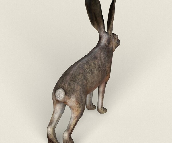 ArtStation - Rabbit Low Poly PBR Ready 3D Model | Game Assets