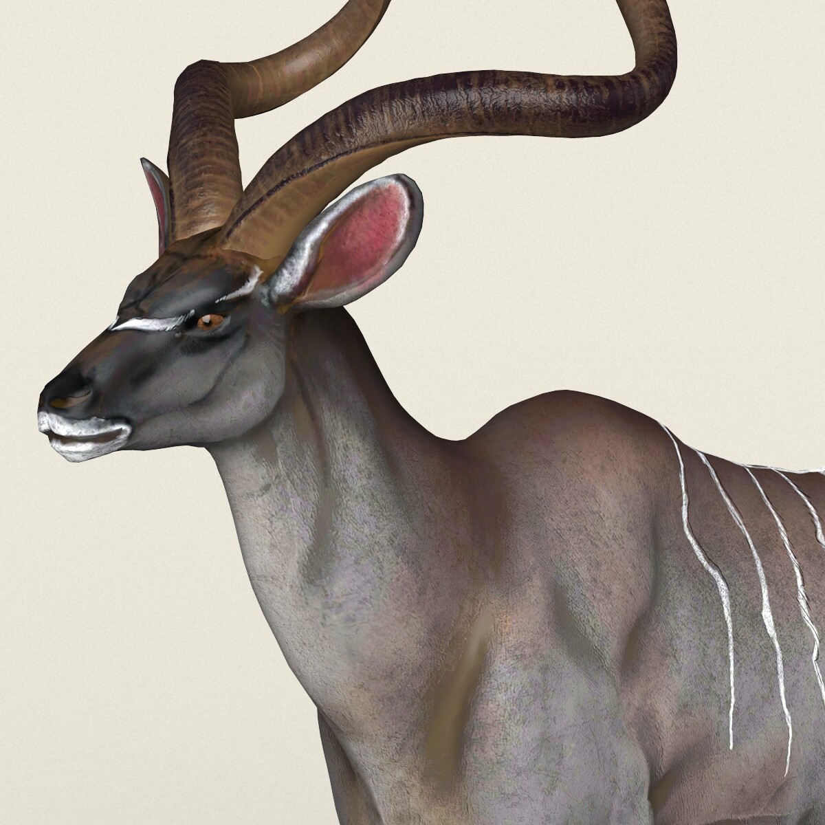 ArtStation - Kudu Low Poly PBR Ready 3D Model | Game Assets