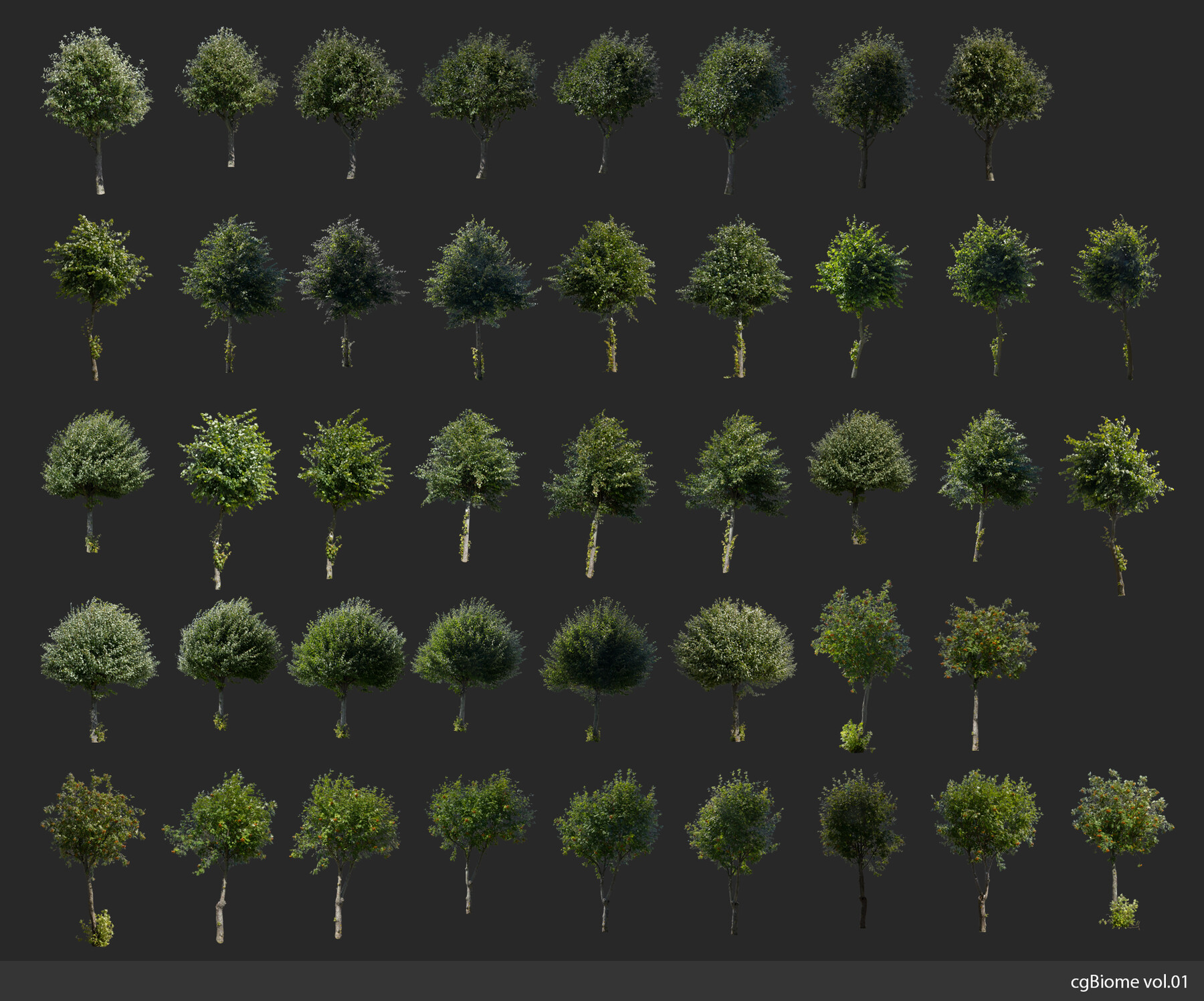 ArtStation - cgBiome vol.01 - Summer Trees | Resources