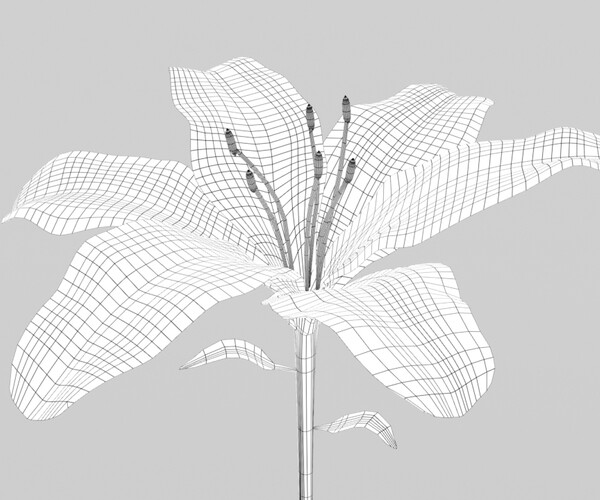 ArtStation - Lily Flower | Game Assets