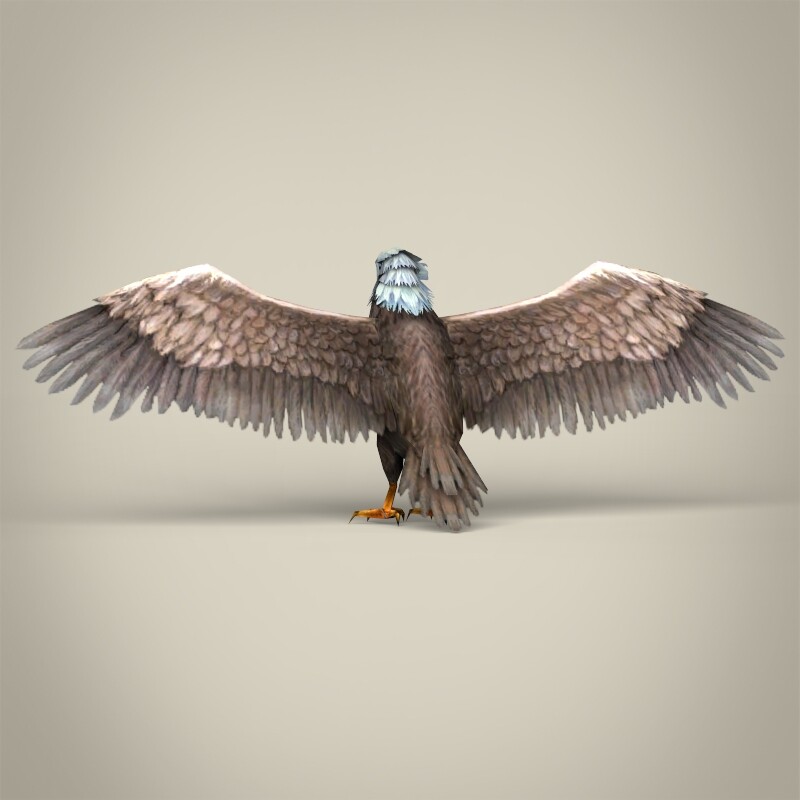 ArtStation - Low Poly Eagle | Game Assets