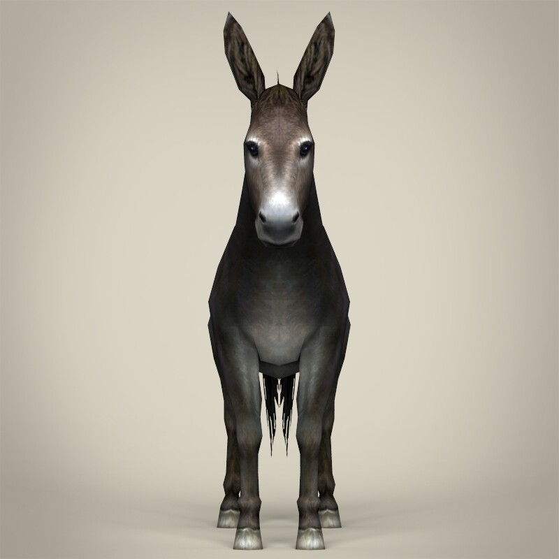 ArtStation - Game Ready Realistic Donkey | Game Assets