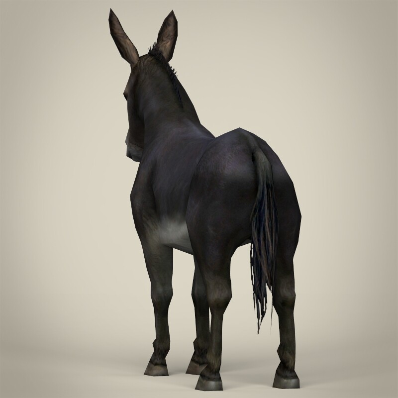 ArtStation - Game Ready Realistic Donkey | Game Assets