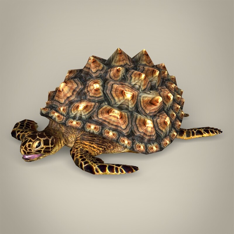 ArtStation - Game Ready Mountain Tortoise | Game Assets