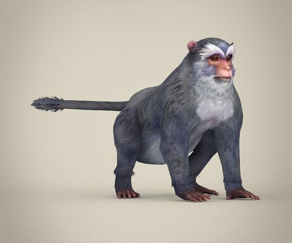 ArtStation - Game Ready White Monkey | Game Assets