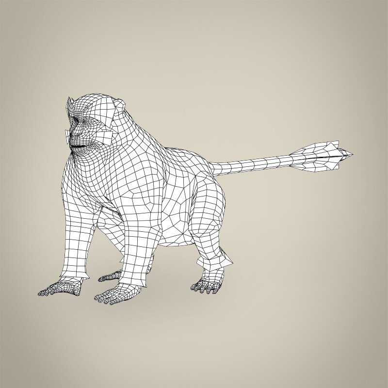 ArtStation - Game Ready White Monkey | Game Assets