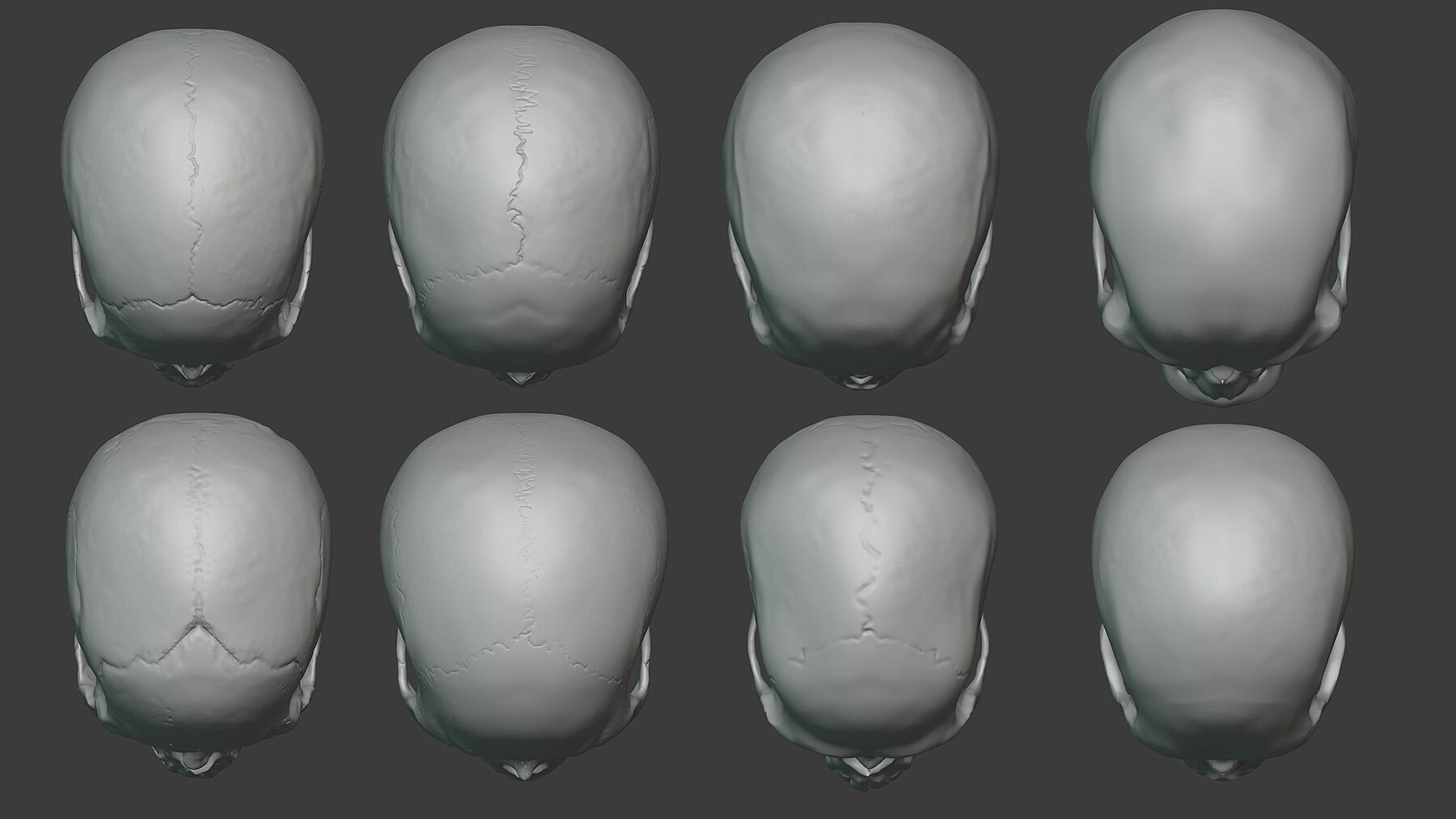 ArtStation - Skulls sculpt pack | Resources