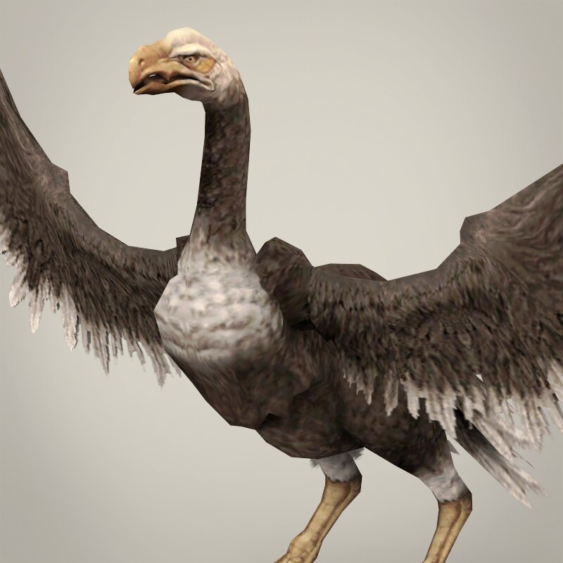 ArtStation - Game Ready Fantasy Vulture | Game Assets