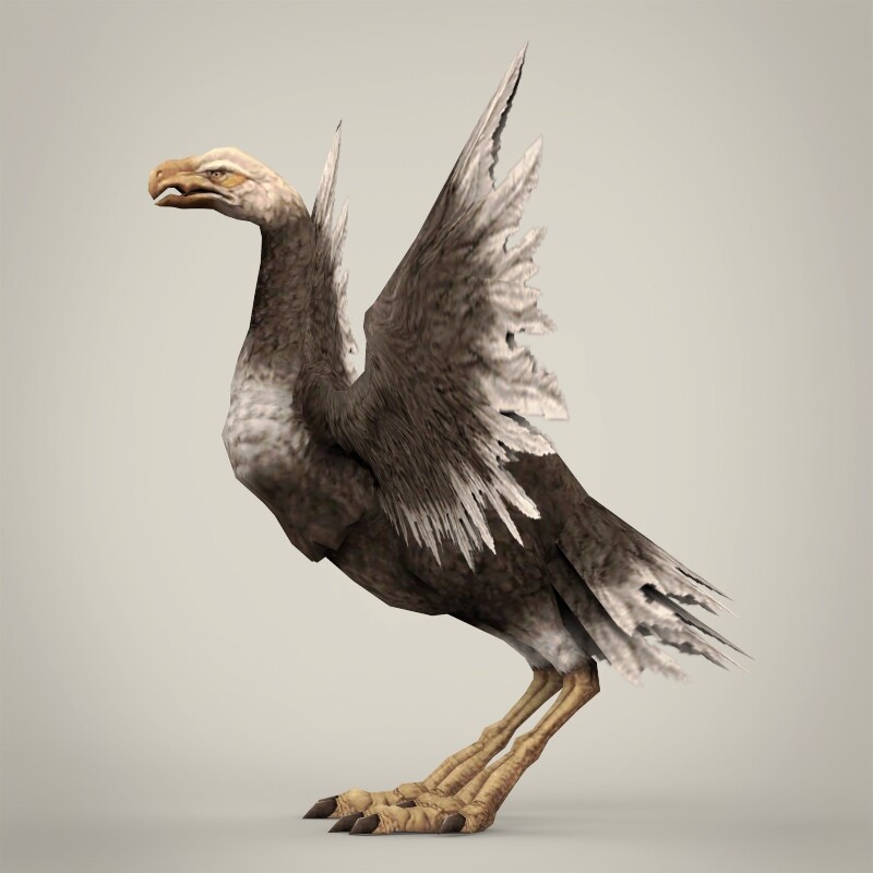 ArtStation - Game Ready Fantasy Vulture | Game Assets