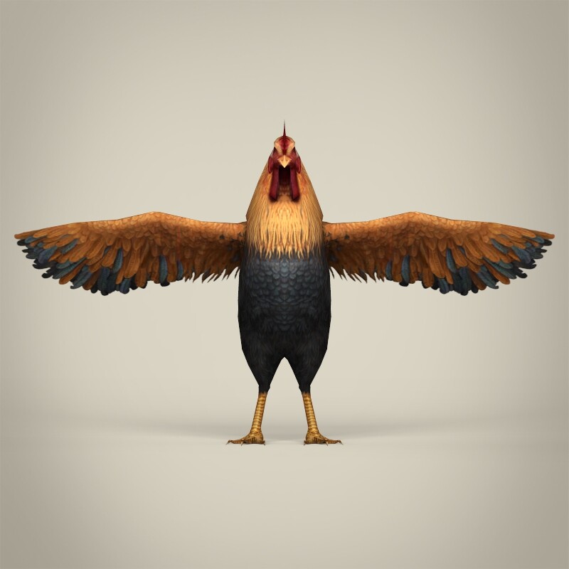 ArtStation - Game Ready Realistic Rooster | Game Assets