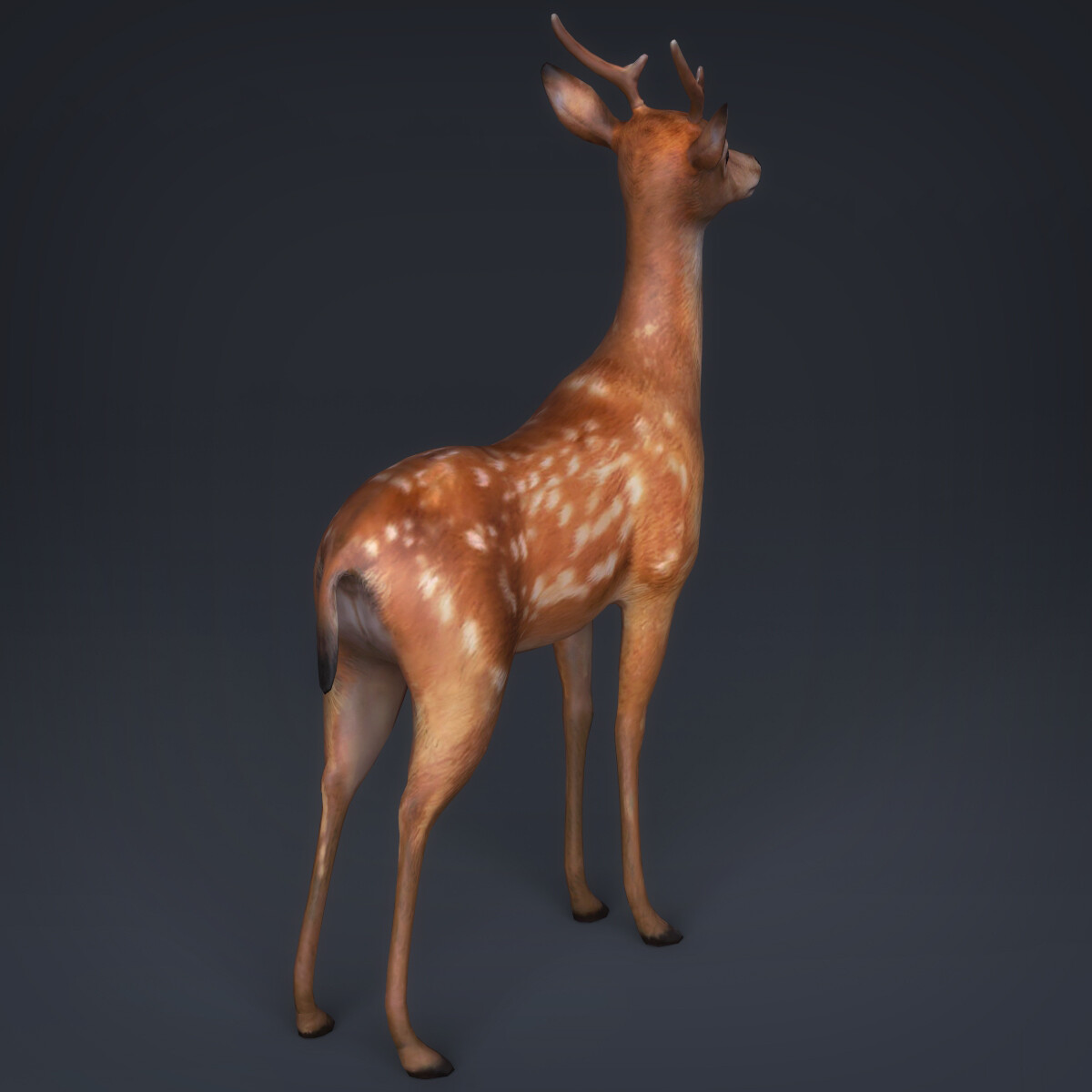 ArtStation - Realistic Deer | Game Assets