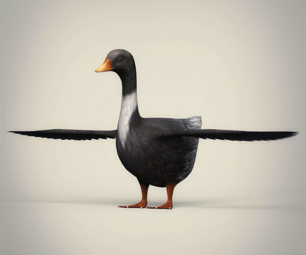 ArtStation - Low Poly Realistic Duck | Game Assets