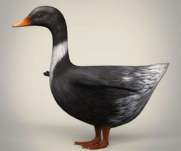 ArtStation - Low Poly Realistic Duck | Game Assets
