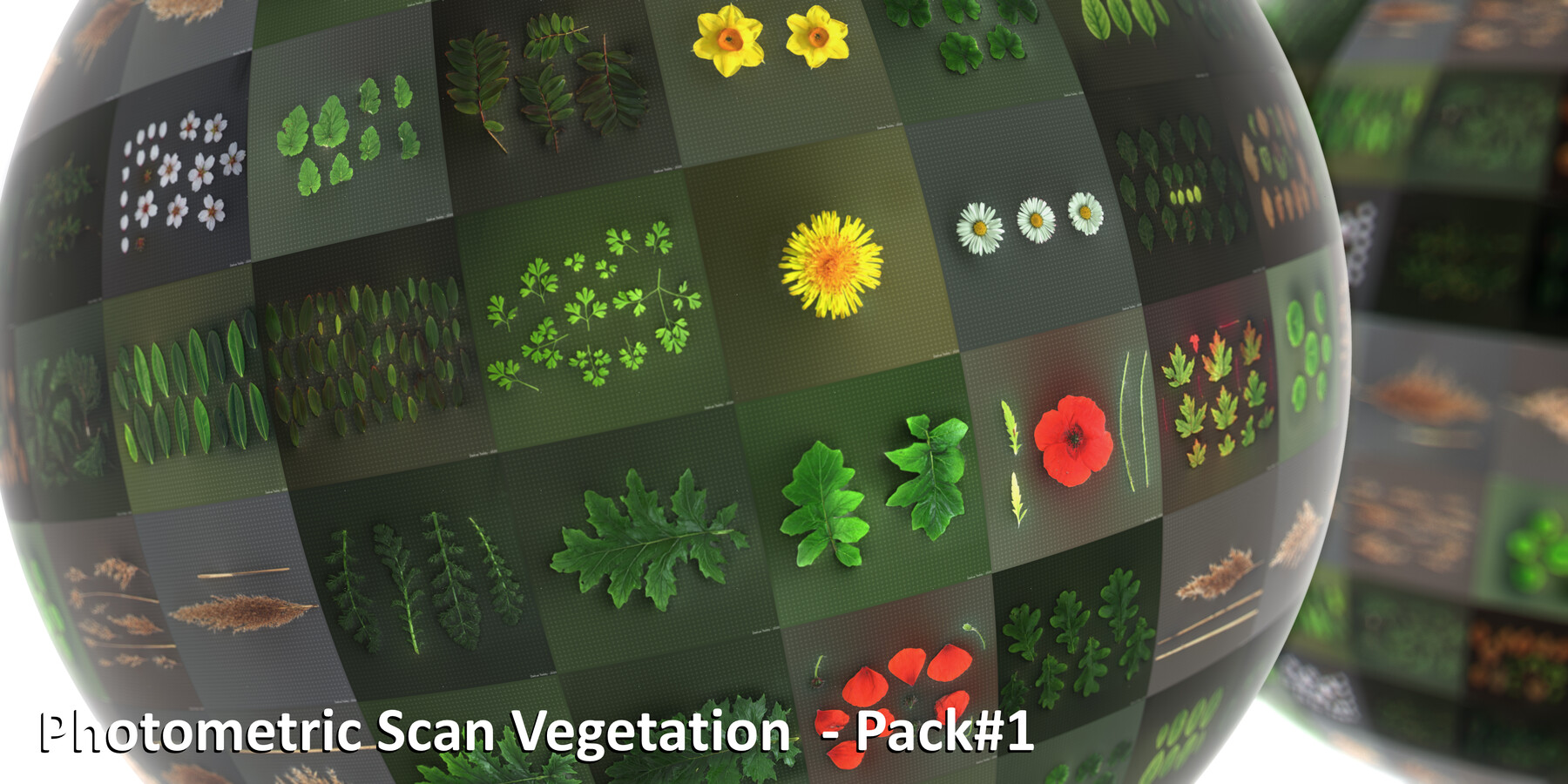ArtStation - Photometric Scan Vegetation - Scan Pack #1 | Game Assets