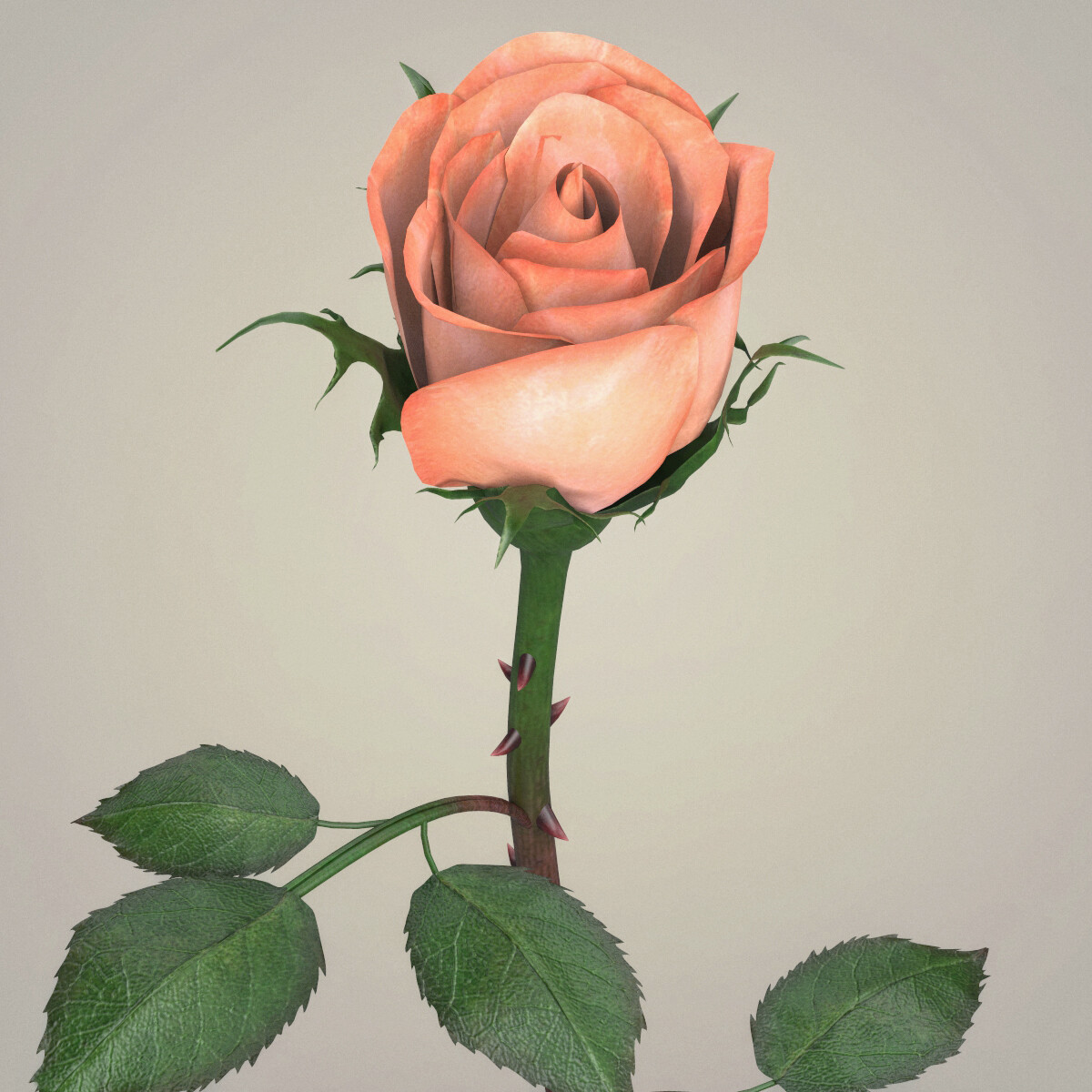 ArtStation - Rose Flower Collection | Game Assets