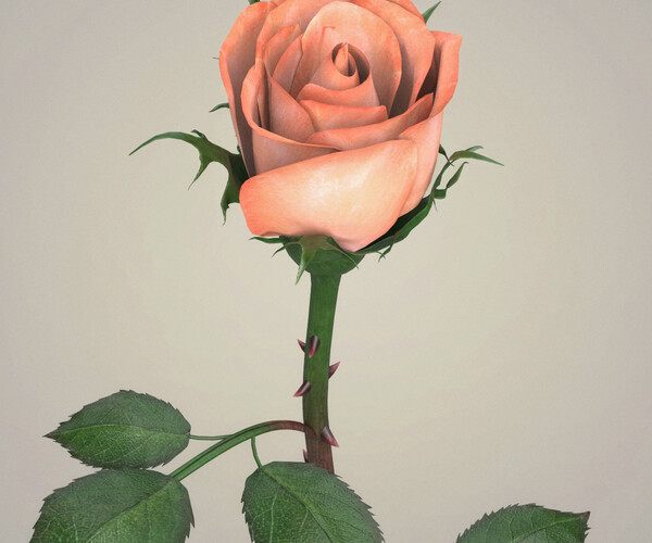 ArtStation - Rose Flower Collection | Game Assets