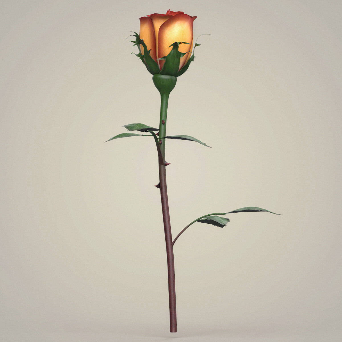 ArtStation - Rose Flower Collection | Game Assets