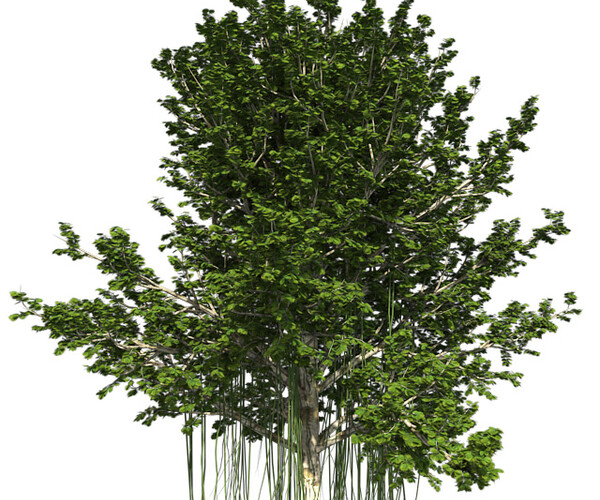 ArtStation - Agar Wood Tree | Resources