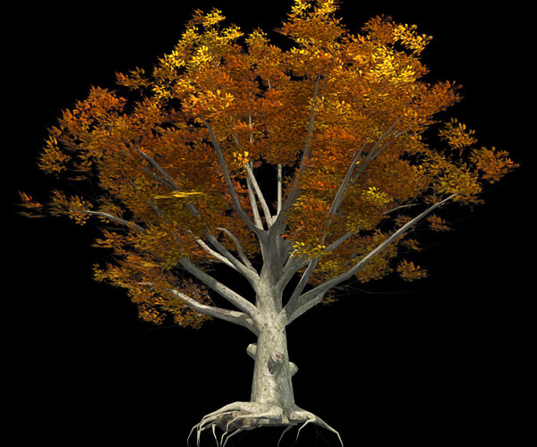ArtStation - American Beech Fall Tree | Resources