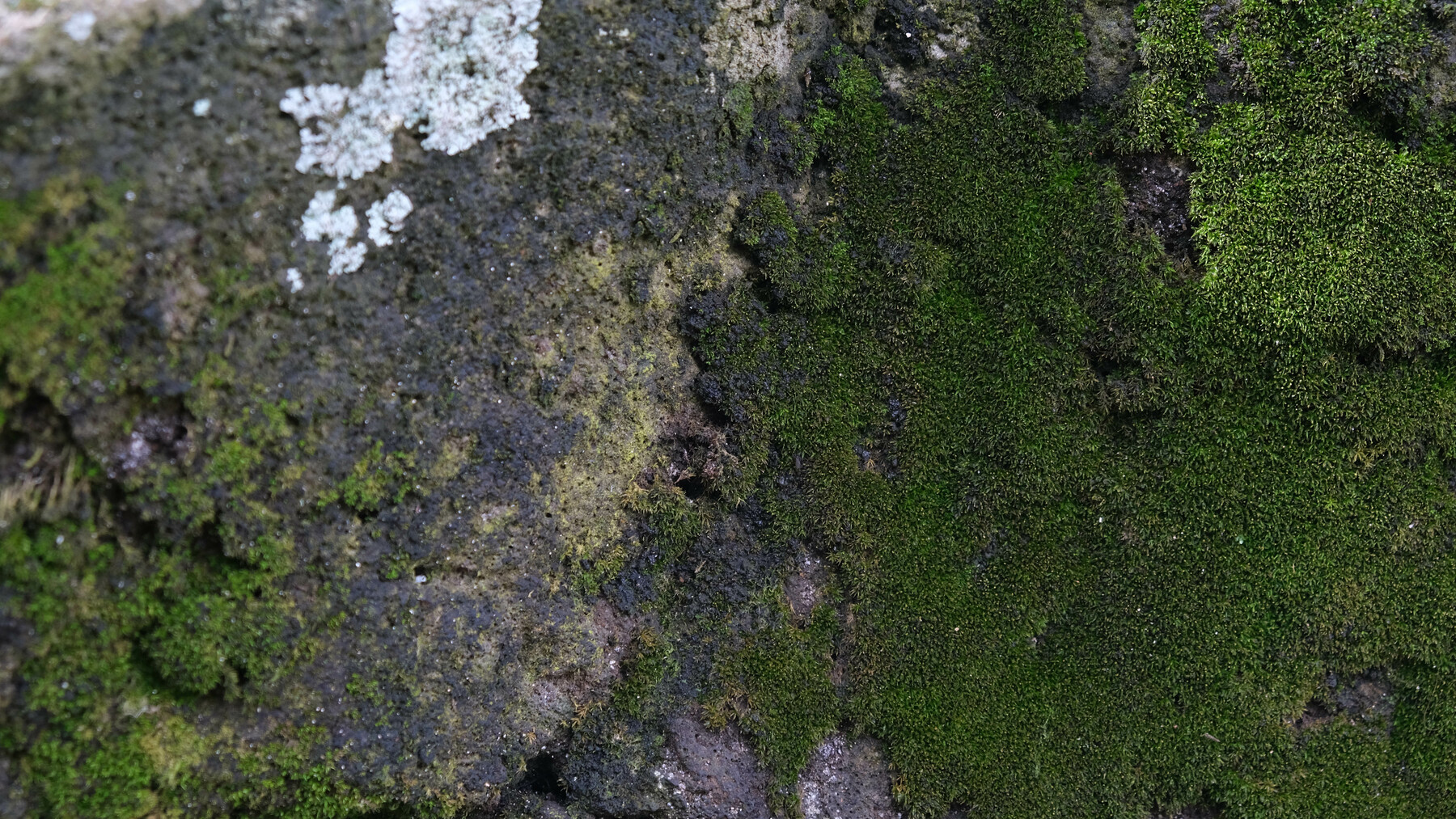 ArtStation - VOLCANO ROCK TEXTURE PACK | Resources