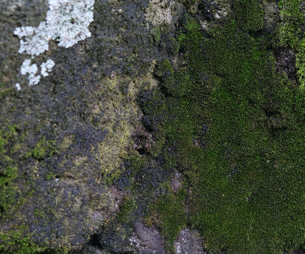 ArtStation - VOLCANO ROCK TEXTURE PACK | Resources