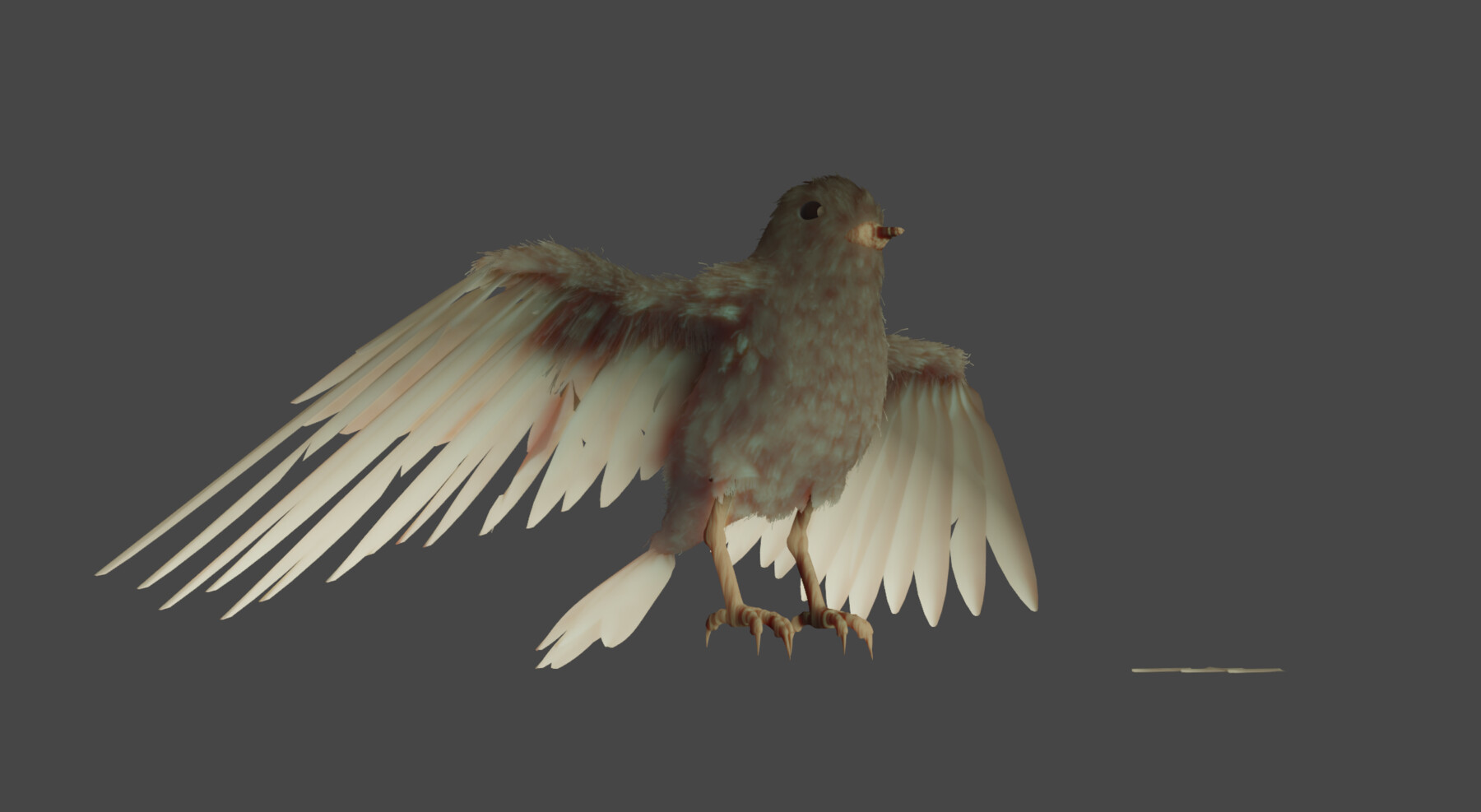 ArtStation - Small Bird | Game Assets