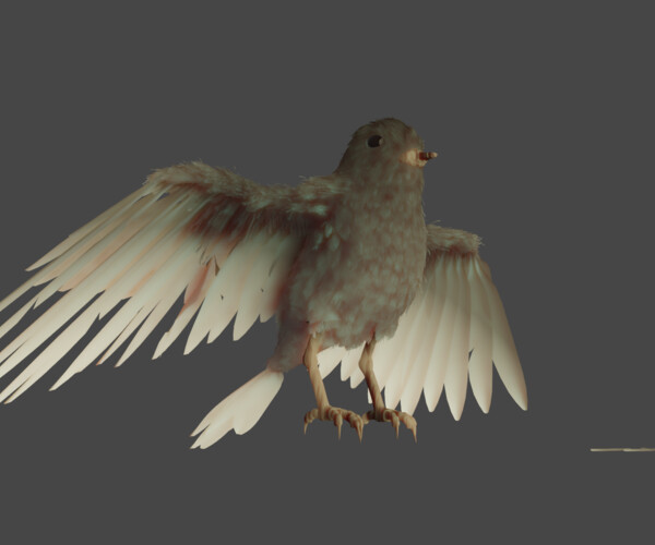 ArtStation - Small Bird | Game Assets