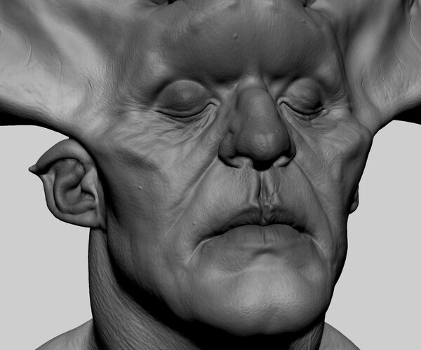 ArtStation - Fantasy Creature Head 04 | Resources