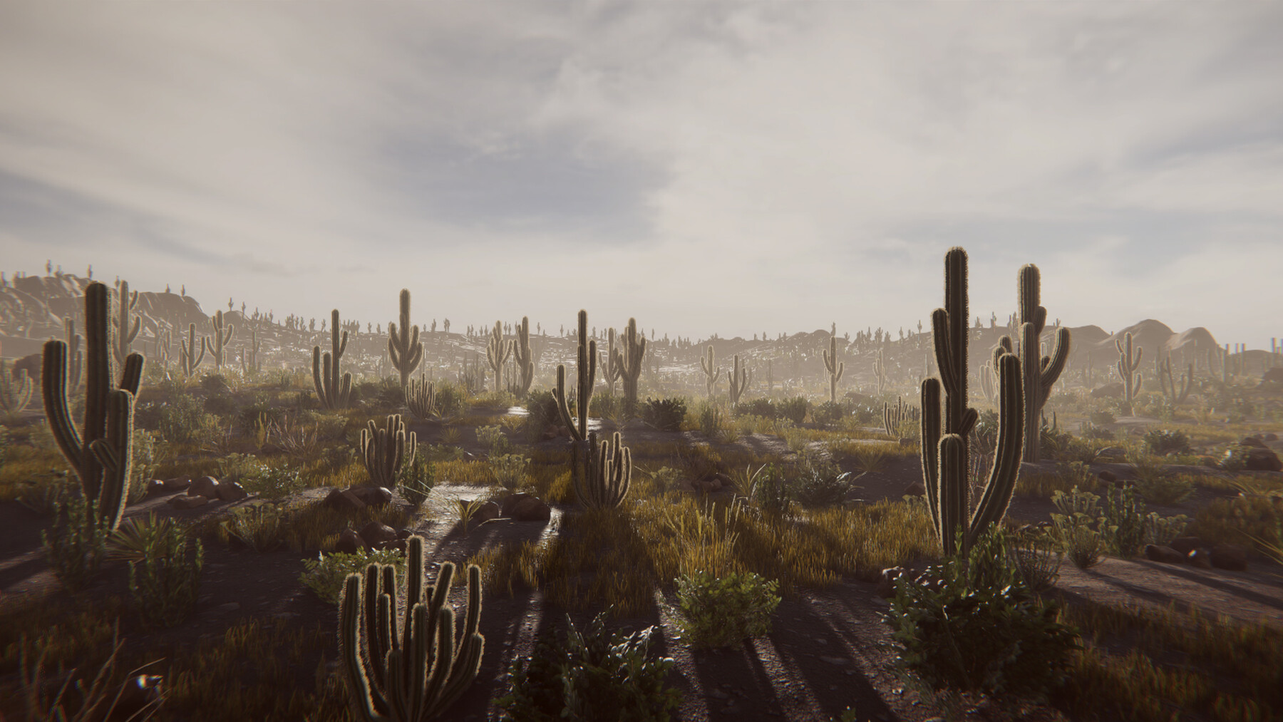 ArtStation - Mexican Desert (Unity Package) | Game Assets