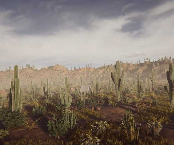 ArtStation - Mexican Desert (Unity Package) | Game Assets