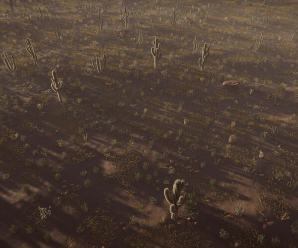 ArtStation - Mexican Desert (Unity Package) | Game Assets