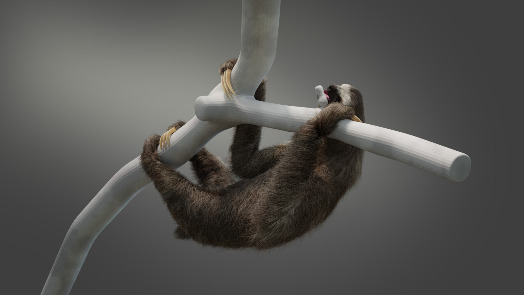 ArtStation - 3D Animal | Three-Toed Sloth Animated | Resources