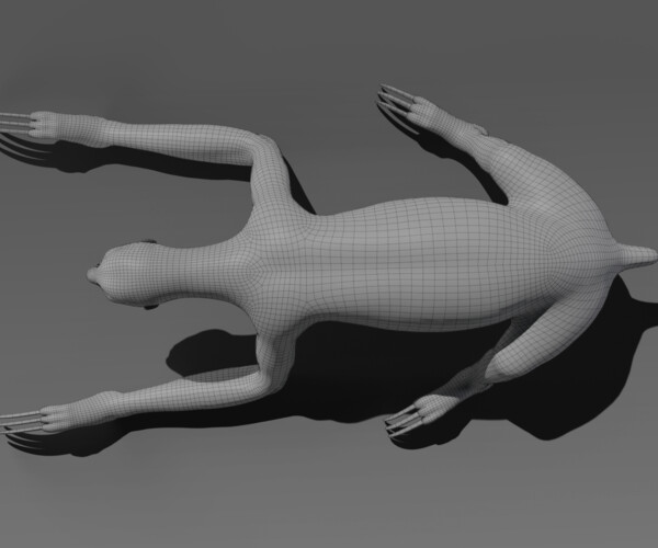 ArtStation - 3D Animal | Three-Toed Sloth Animated | Resources