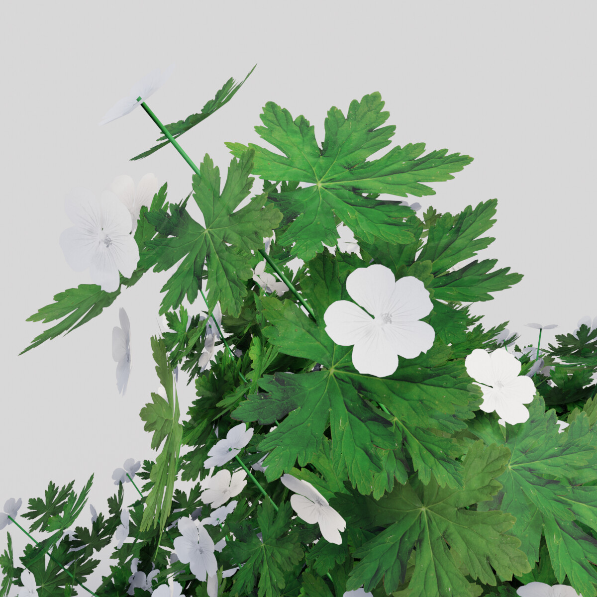 ArtStation - Geranium White | Resources