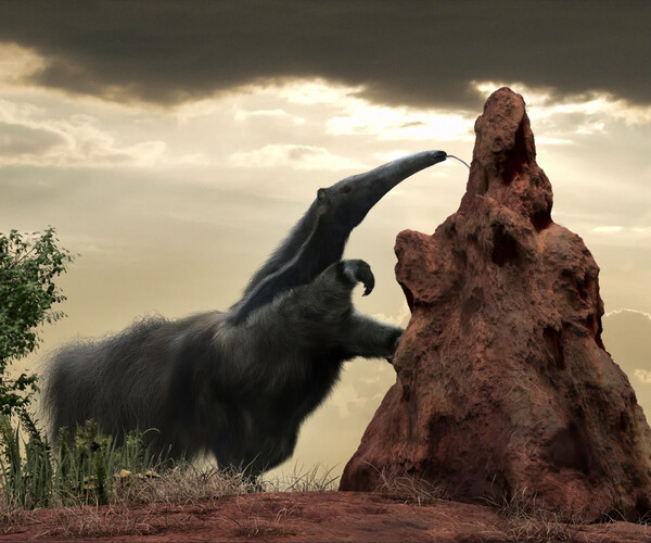 ArtStation - Termite's mound | Resources