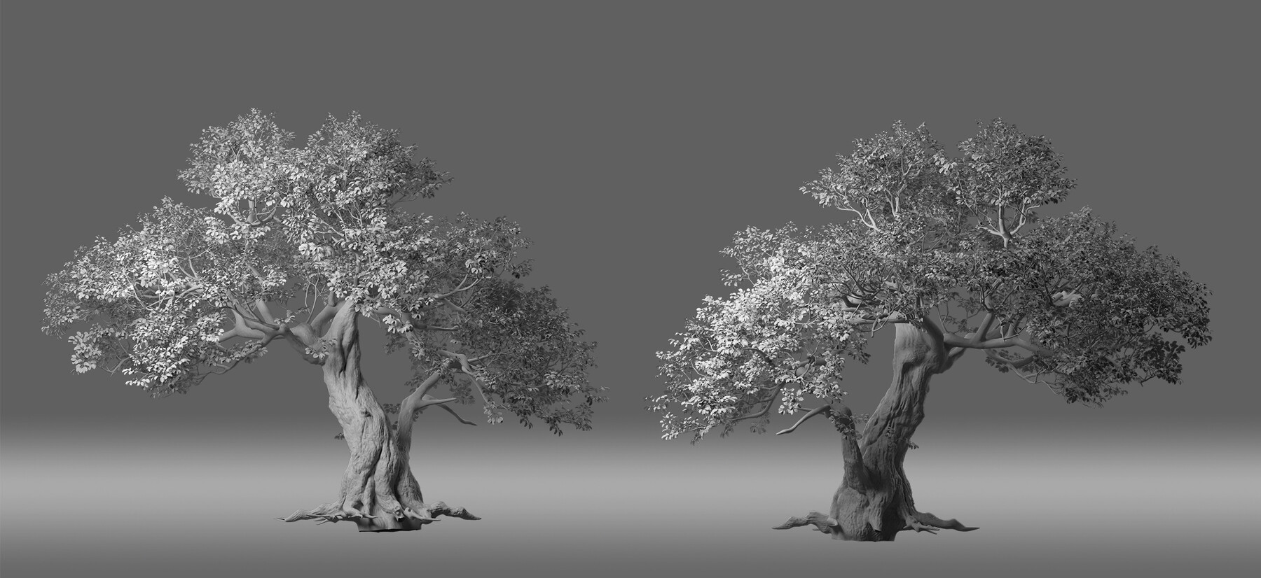 ArtStation - tree plant | Resources