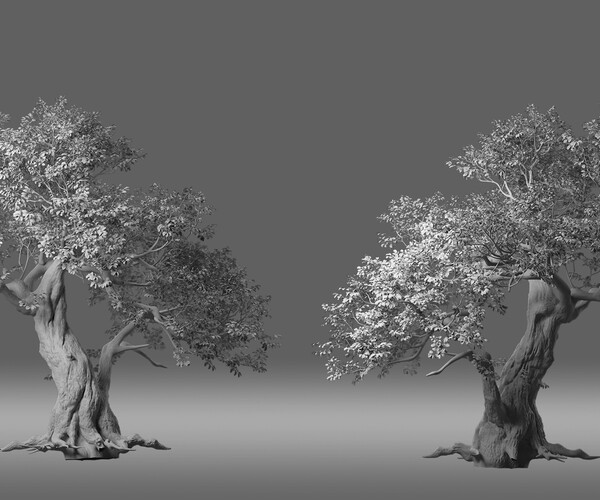 ArtStation - tree plant | Resources