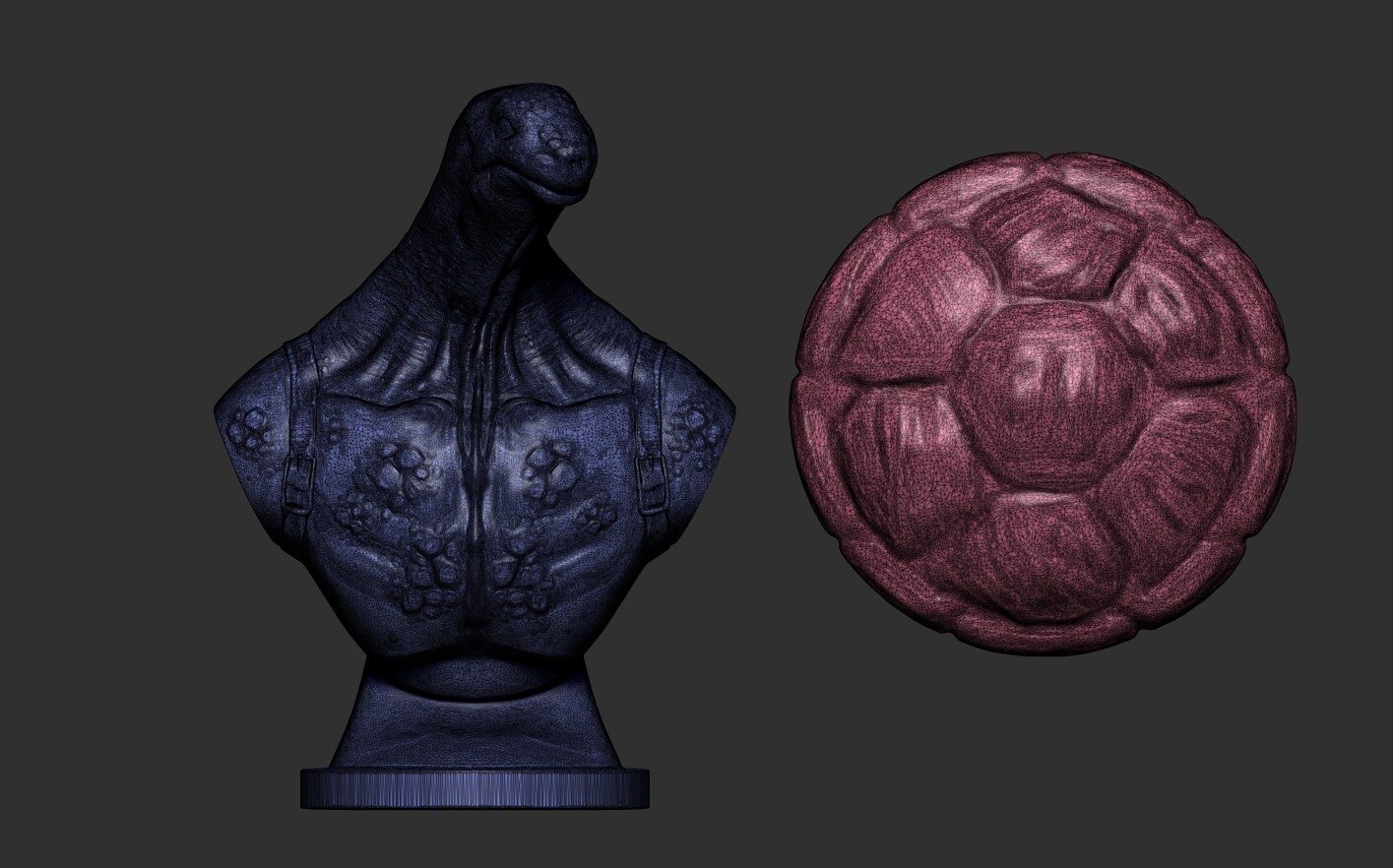 ArtStation - Turtle | Resources