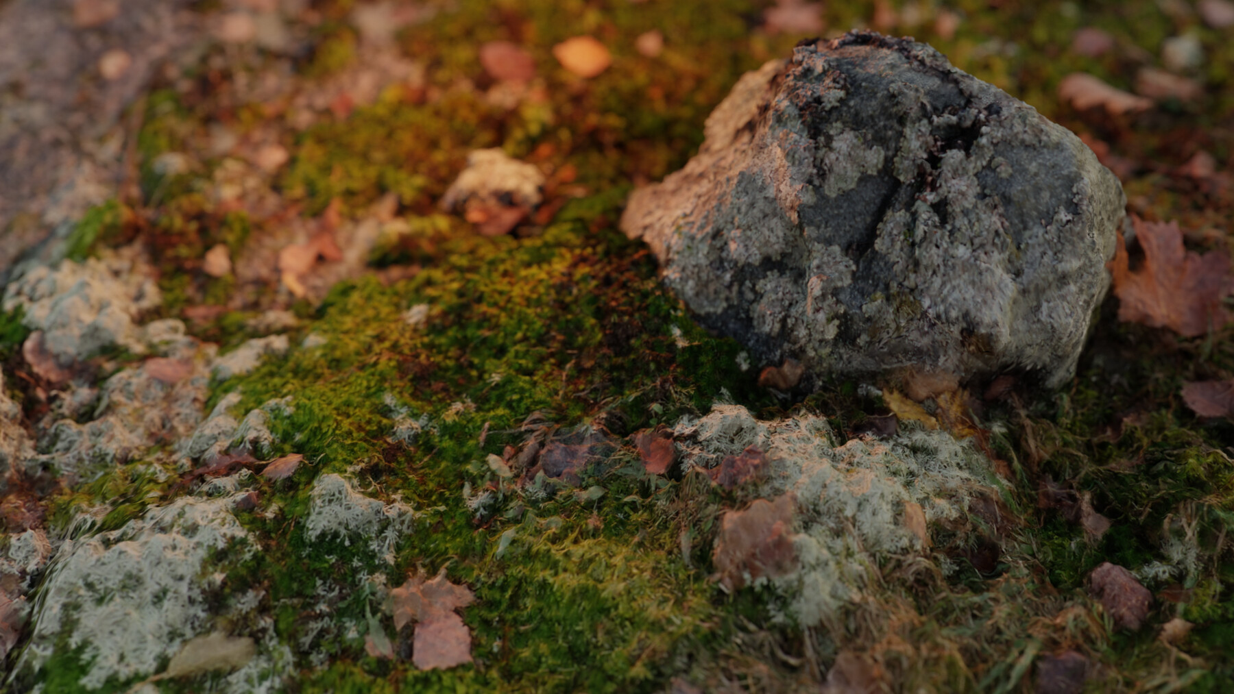 ArtStation - Medium Boulder | Resources