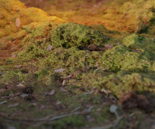 ArtStation - Bumpy ground | Resources