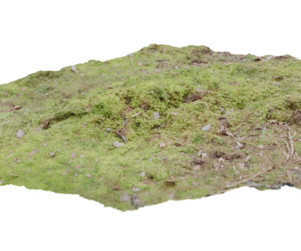 ArtStation - Bumpy ground | Resources