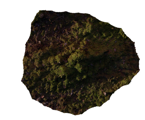 ArtStation - Bumpy ground | Resources