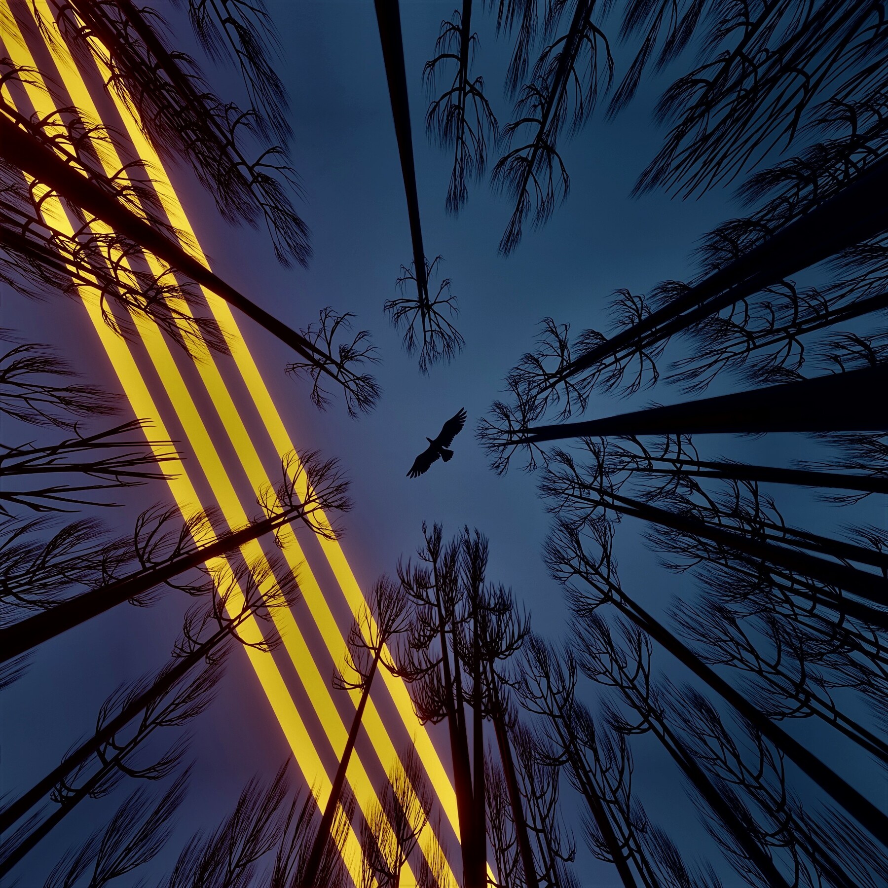 ArtStation - Pleasant Sky | Artworks